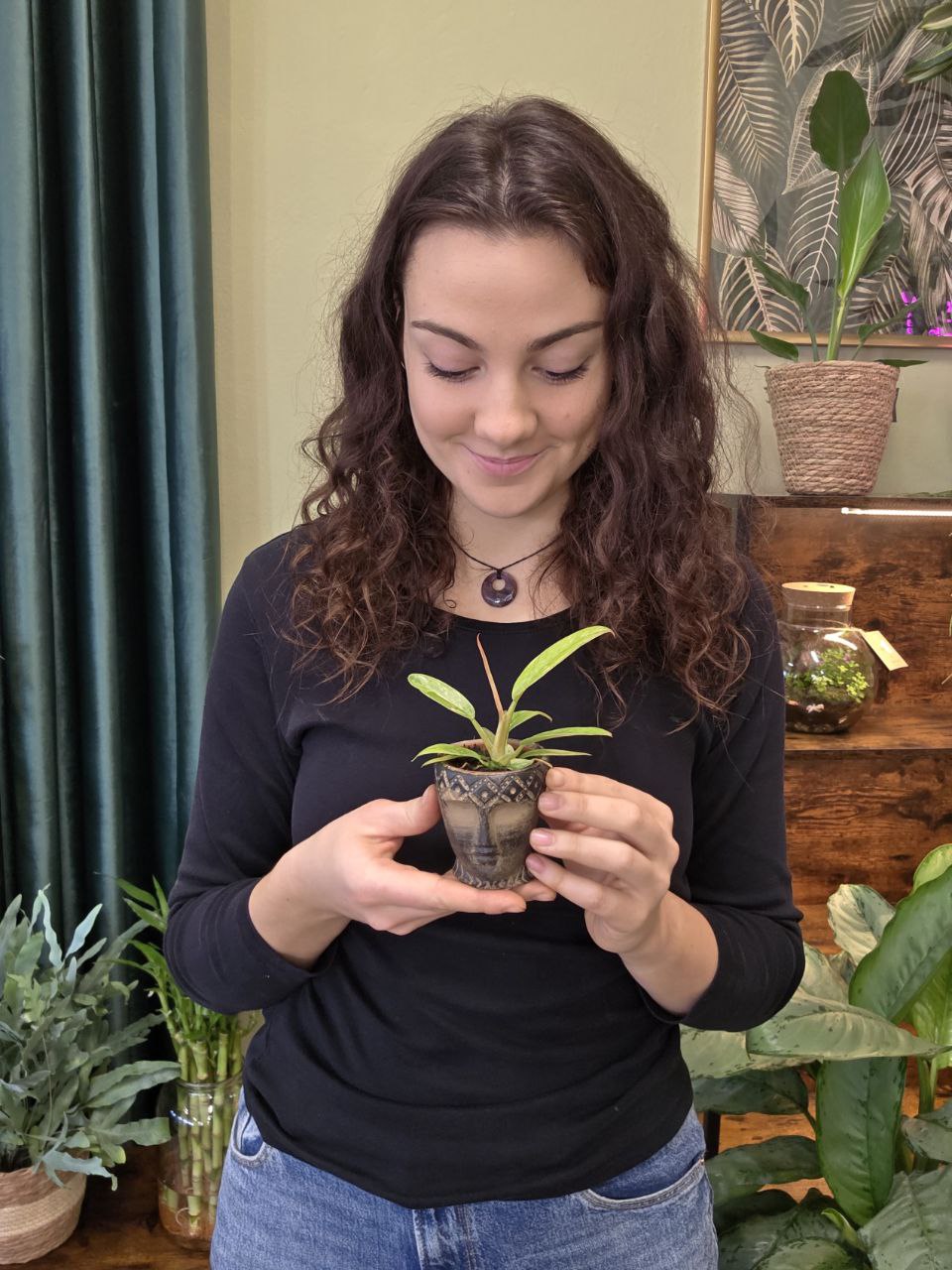 Philodendron Ring of Fire mini | KYTKYshop